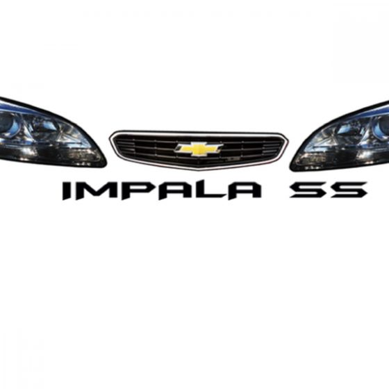DOM-211 Late Model Headlight Graphics - Impala SS - Dominator Race Products