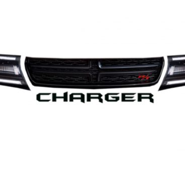 DOM-217 Late Model Headlight Graphics - Mustang - Dominator Race Products