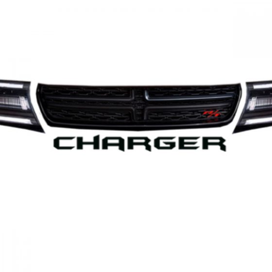 DOM-217 Late Model Headlight Graphics - Mustang - Dominator Race Products